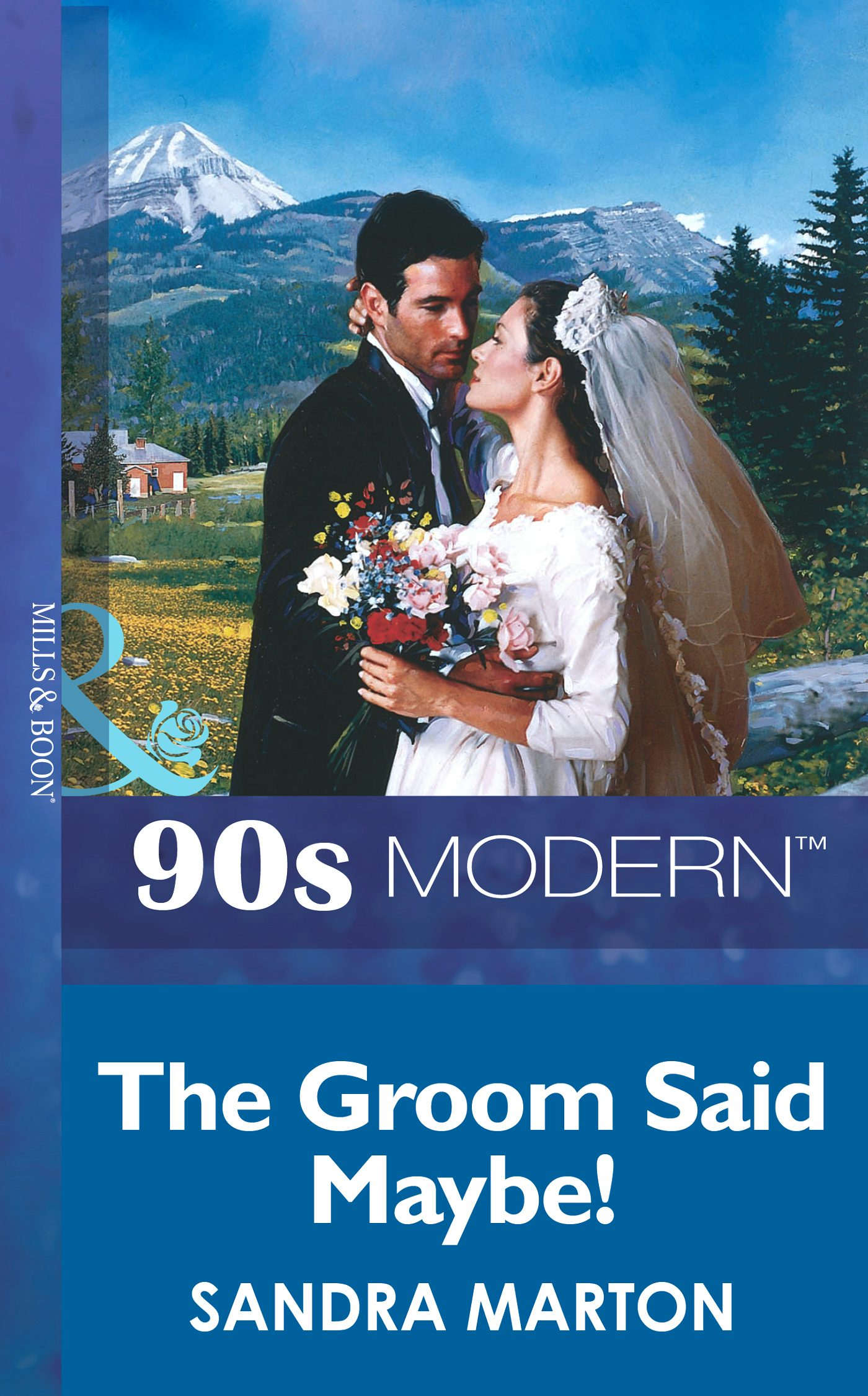 THE GROOM SAID MAYBE! by Sandra Marton | Buy direct from publisher ...