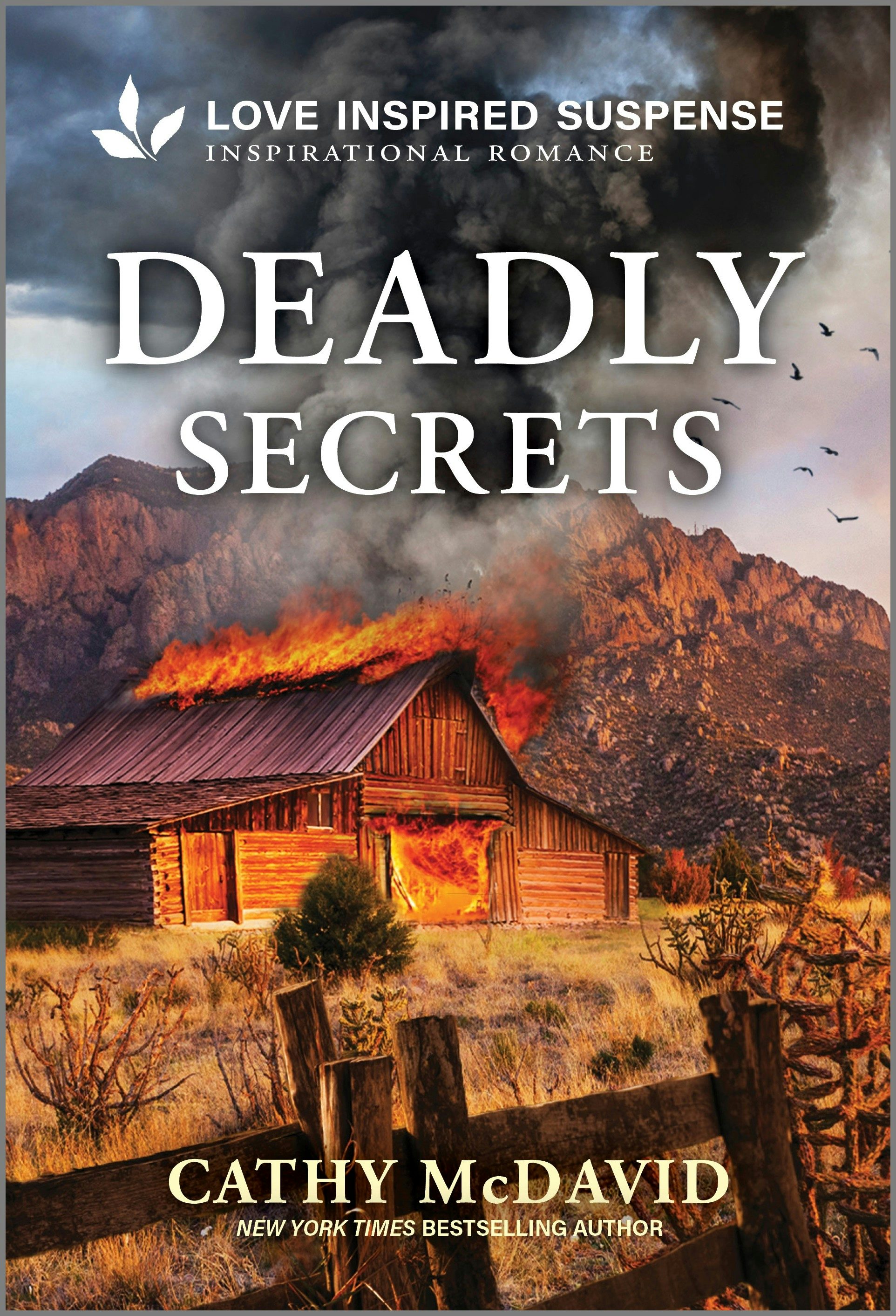 Deadly Secrets by Cathy McDavid | Buy direct from publisher – Mills ...