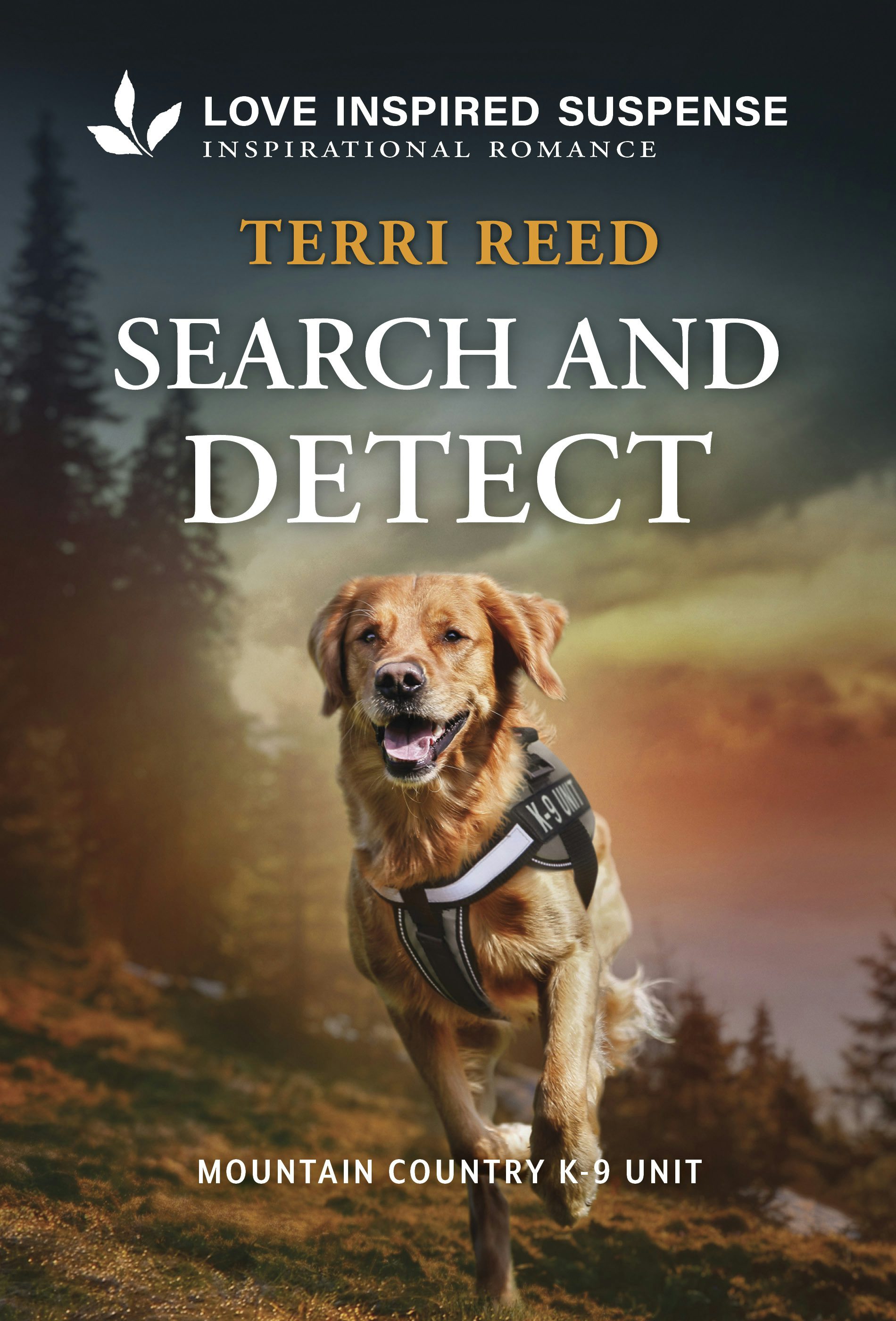 Search And Detect by Terri Reed | Buy direct from publisher – Mills ...