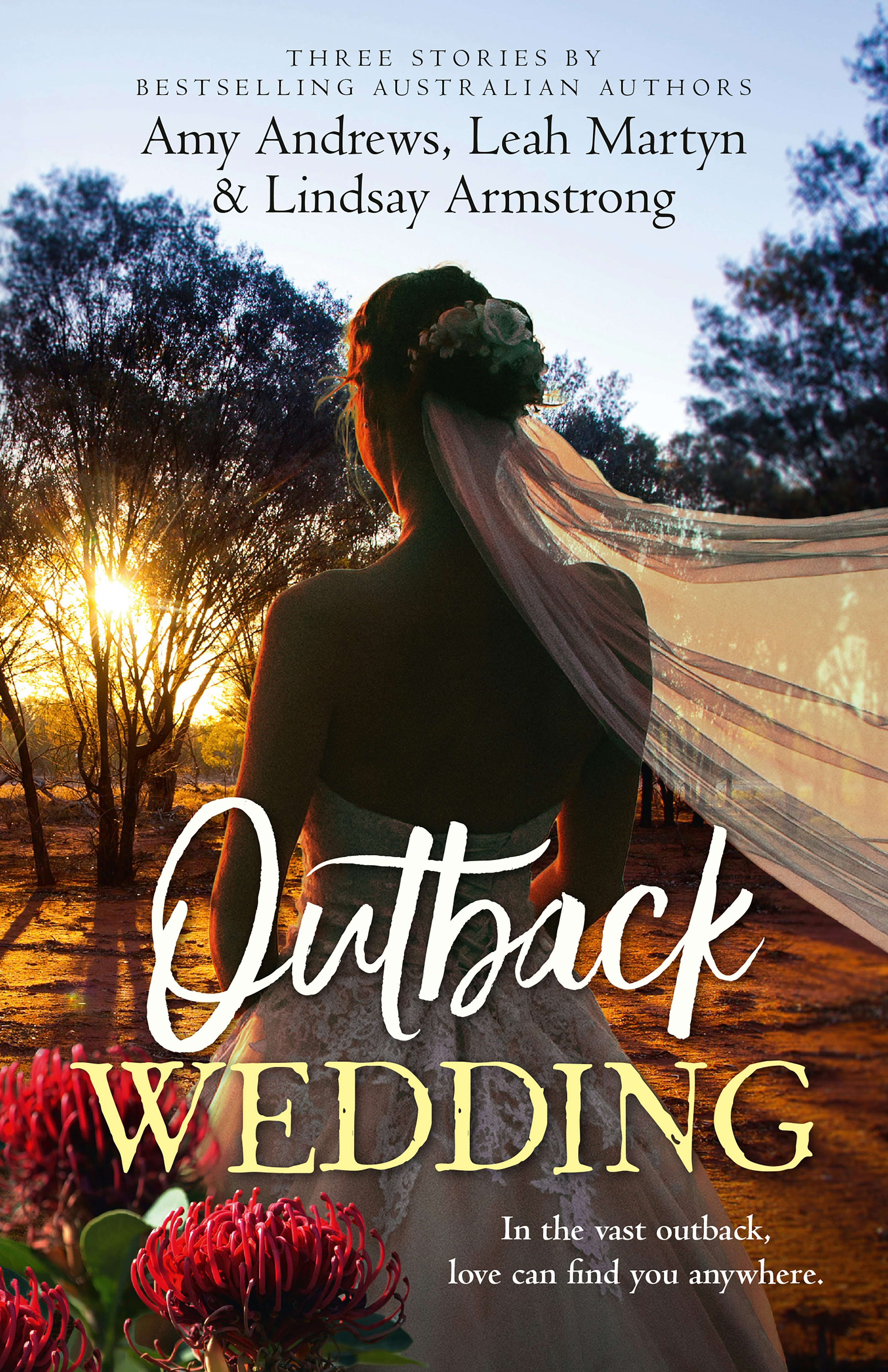 Outback Wedding by Amy Andrews | Buy direct from publisher – Mills ...