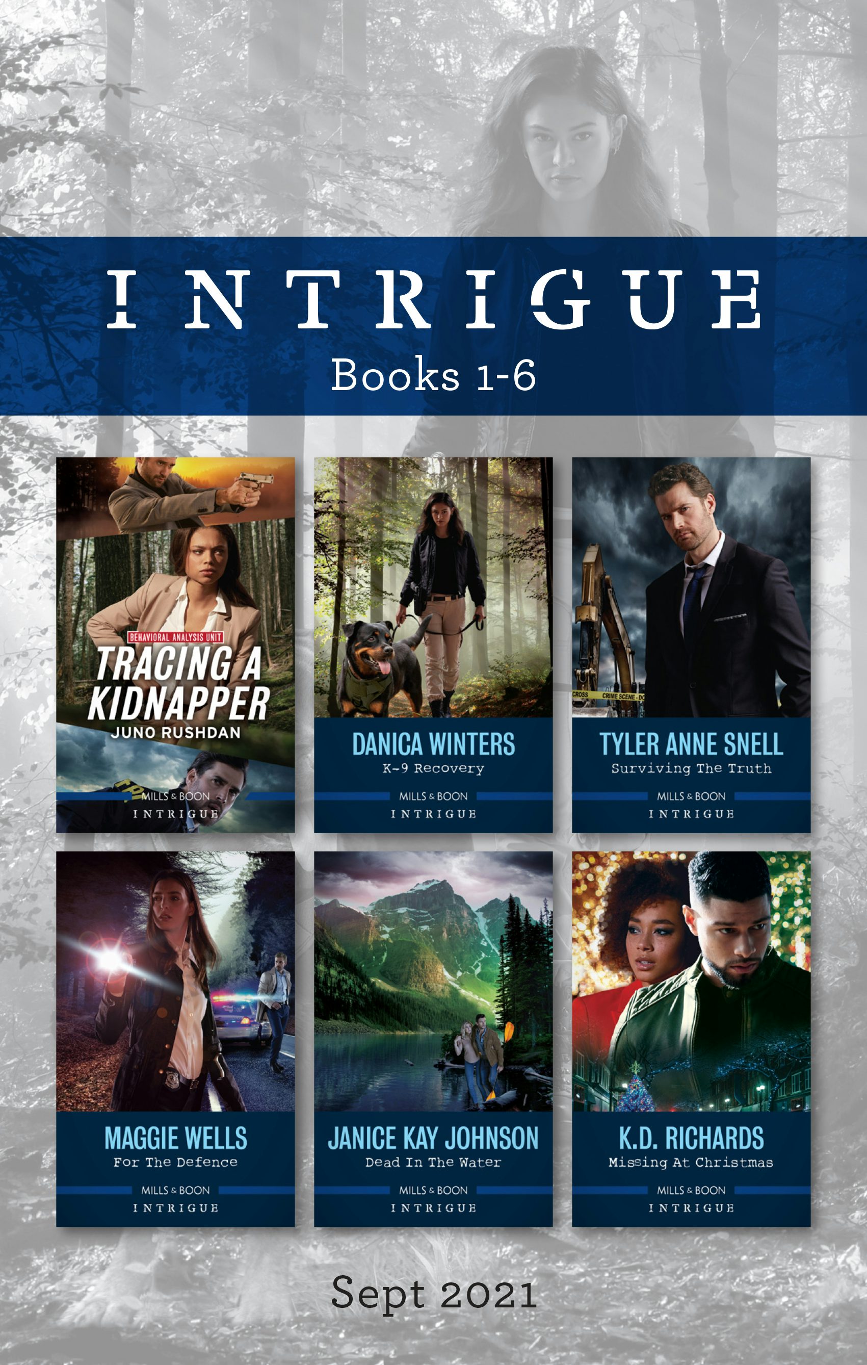 Intrigue Box Set Sept 2021 by JANICE KAY JOHNSON | Buy direct from ...