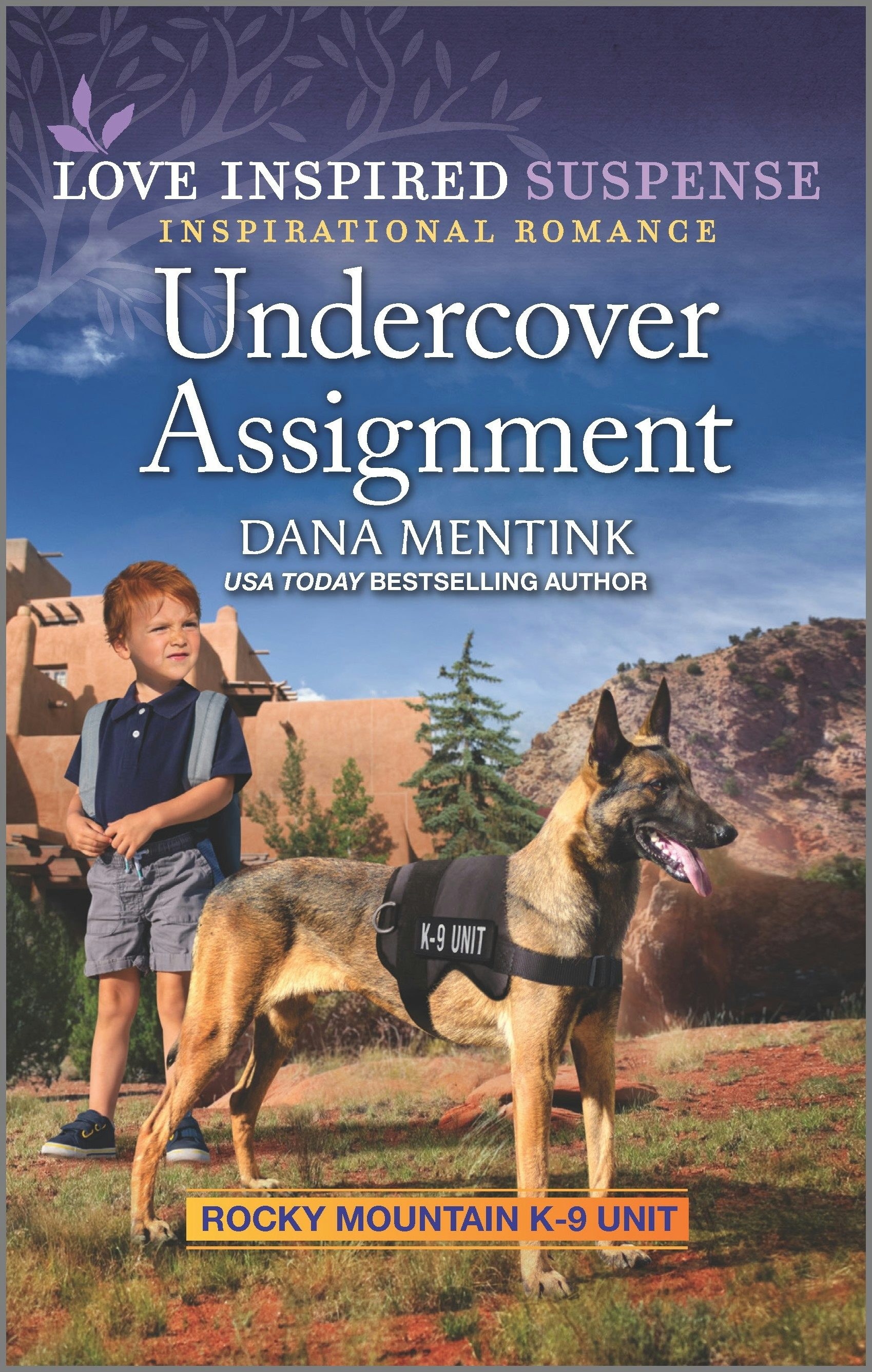 Undercover Assignment by Dana Mentink | Buy direct from publisher ...