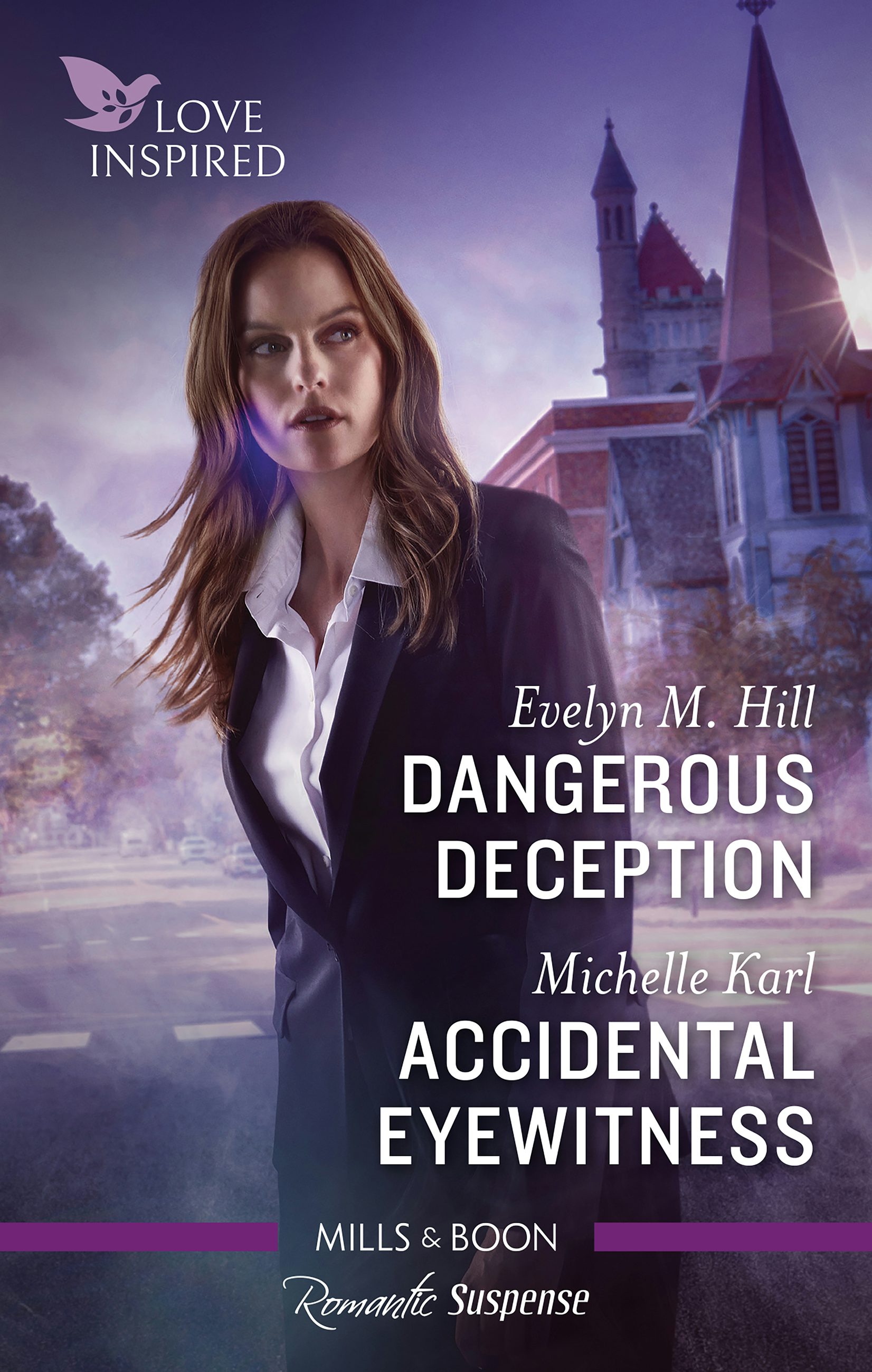 Dangerous Deception/Accidental Eyewitness by Michelle Karl | Buy direct ...