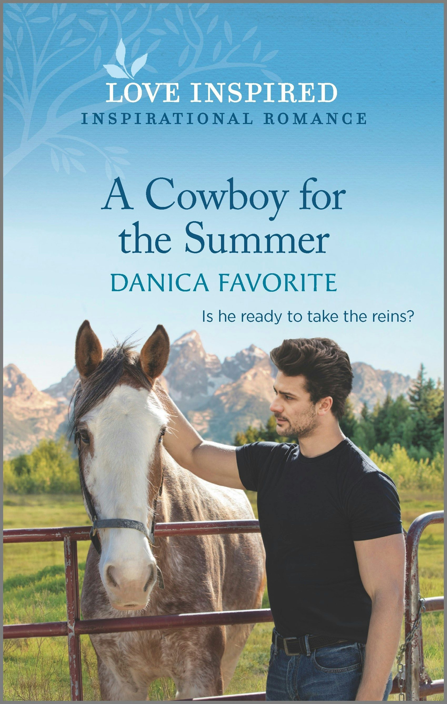 A Cowboy for the Summer by Danica Favorite | Buy direct from publisher ...